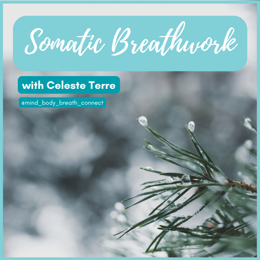 Winter Solstice Cacao & Somatic Breathwork Ceremony 2024 - Prism Bodywork