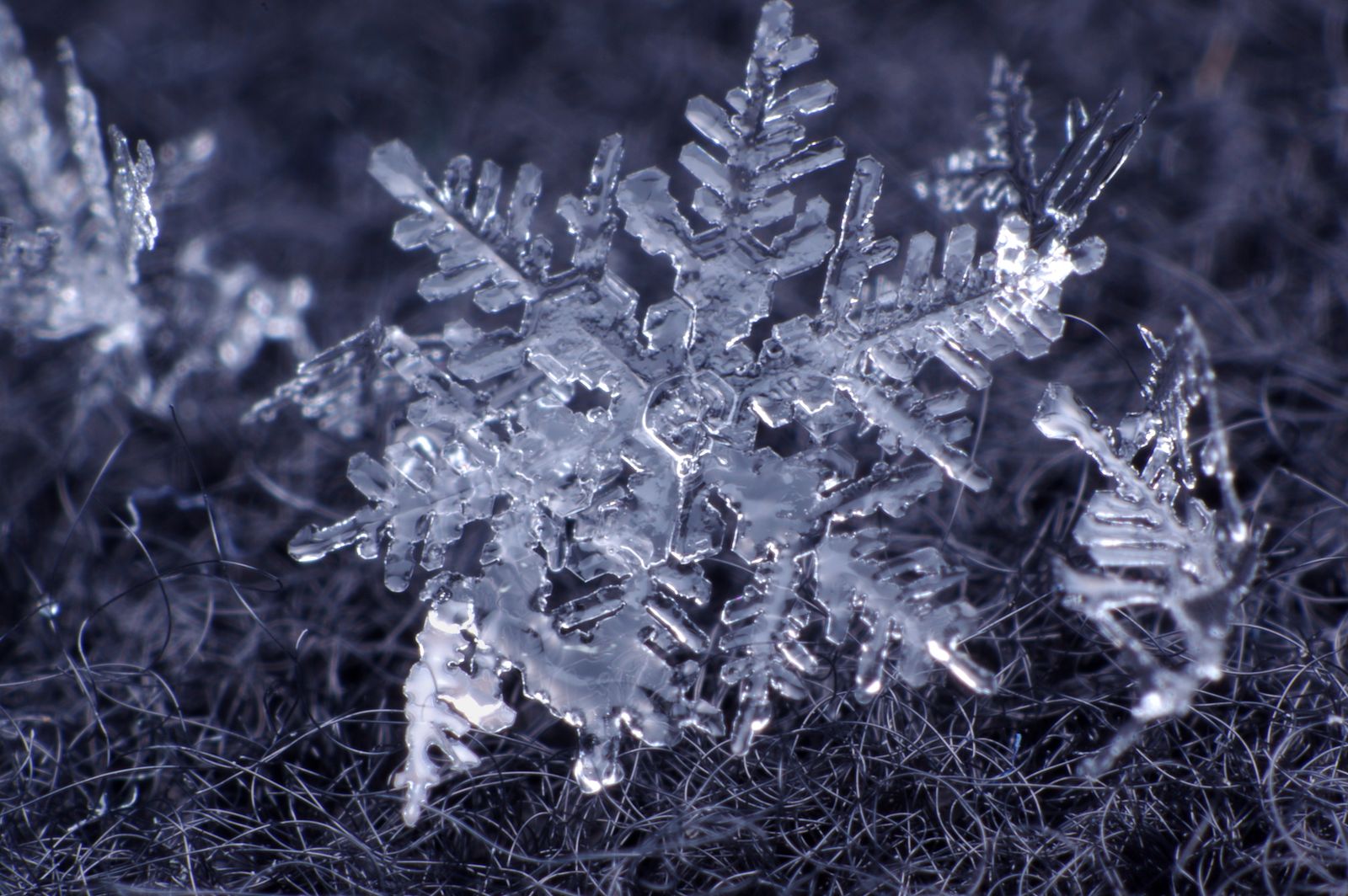 Winter Solstice Cacao & Somatic Breathwork Ceremony 2024 - PRISM Bodywork